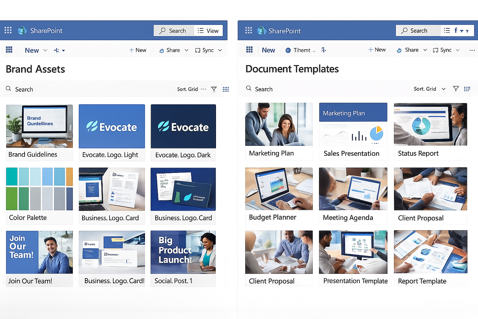 Why Your Organisation Should Set Up Asset Libraries in SharePoint (and ...